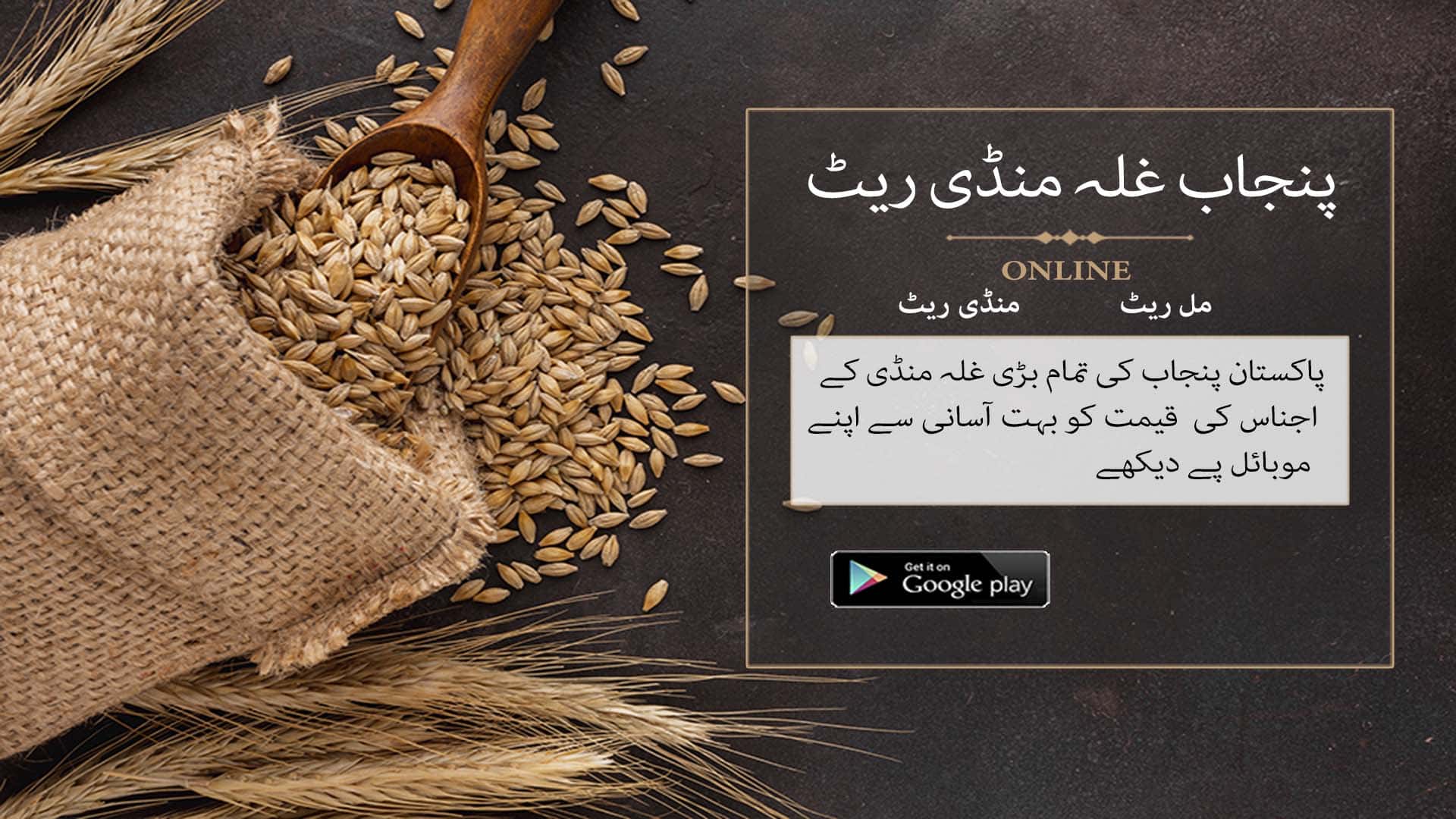 Grain market rates 2025 - Ghalla Mandi rates