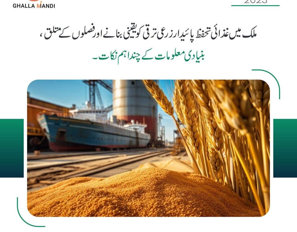 Wheat Rate in Pakistan 2024 | Wheat Price Today - Ghalla Mandi rates
